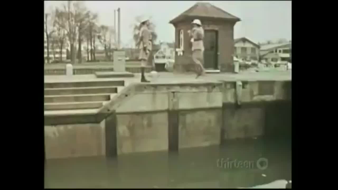 Monty Python - Fish slapping dance | Download HD video clip on | Vlipsy