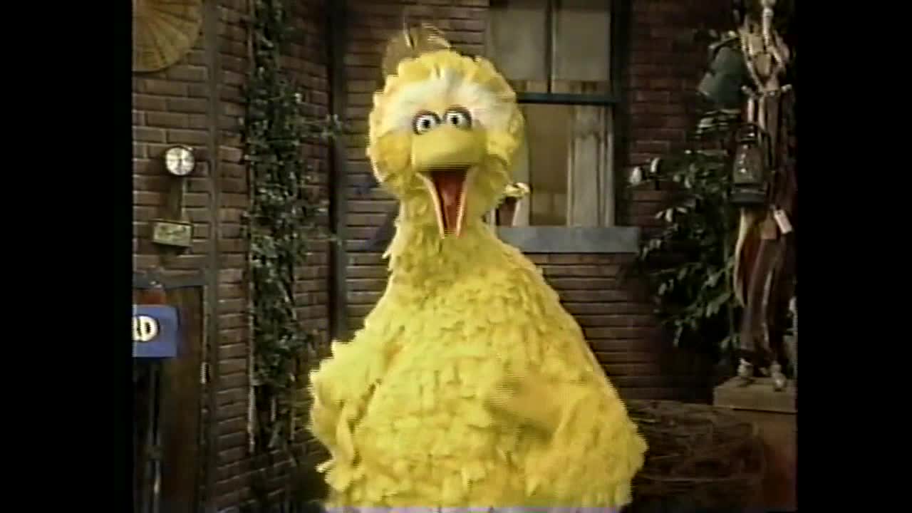Sesame Street - Very angry! | Download HD video clip on | Vlipsy