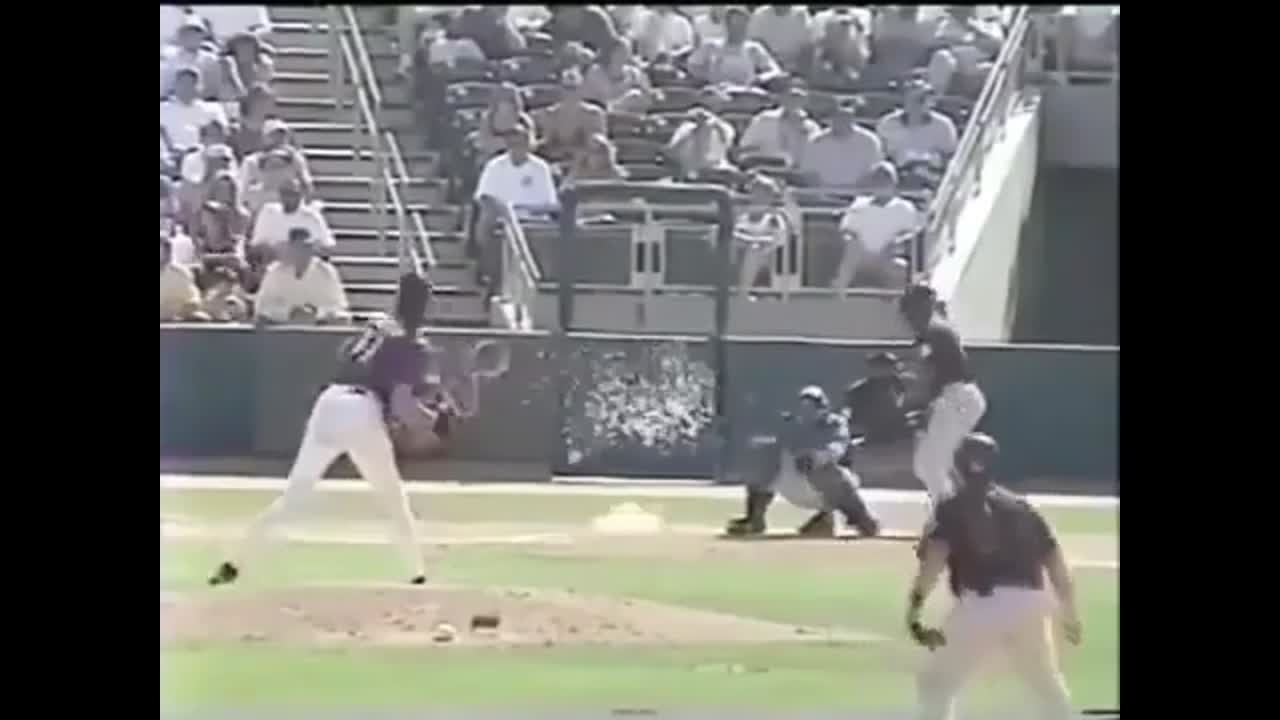 Harker Davies - Pitcher Hits Bird | Download HD video clip on | Vlipsy