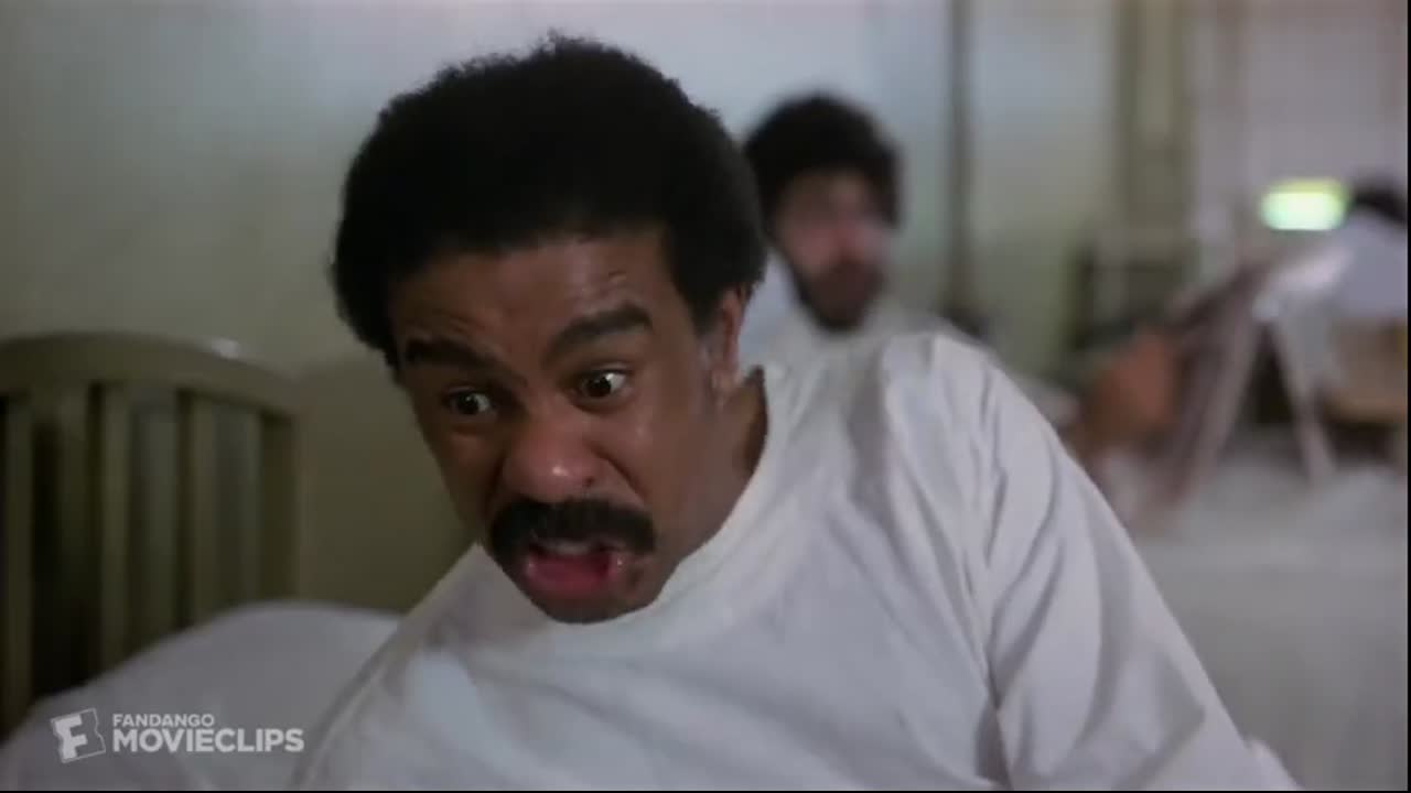 Stir Crazy - Say what? (Video Clip) | Download HD | Vlipsy