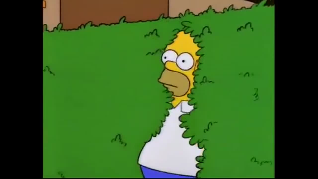 The Simpsons - Homer disappears into bushes | Download HD video clip on ...