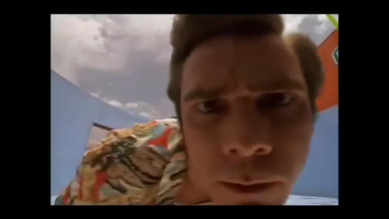 Ace Ventura - Jim Carrey Staring | Download HD video clip on | Vlipsy
