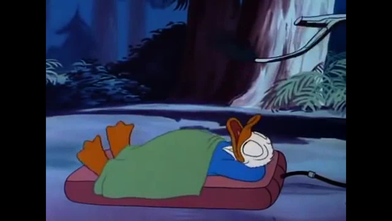 Donald Duck - Sleep | Download HD video clip on | Vlipsy