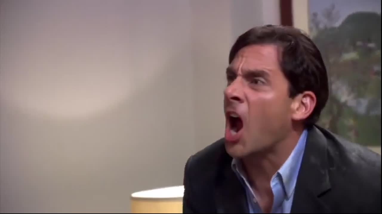 The Office - WHERE ARE THE TURTLES?! | Download HD video clip on | Vlipsy