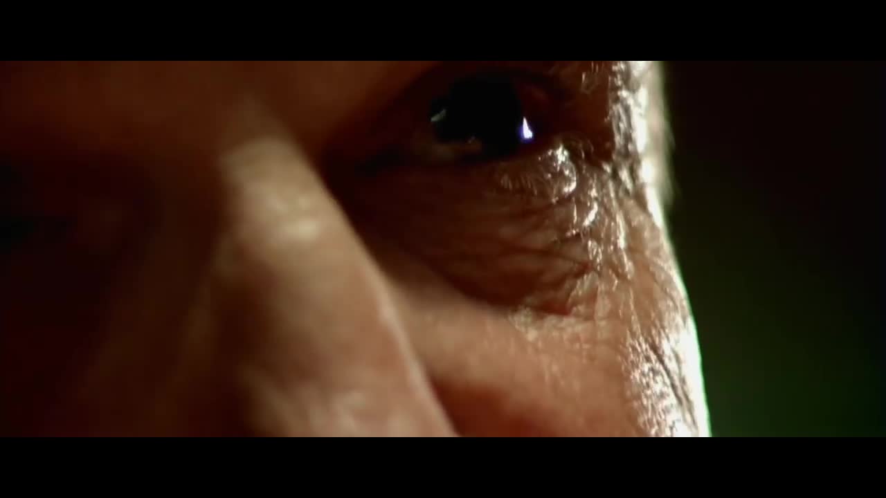 Leon: The Professional - Are You Free on Tuesday? | Download HD video ...